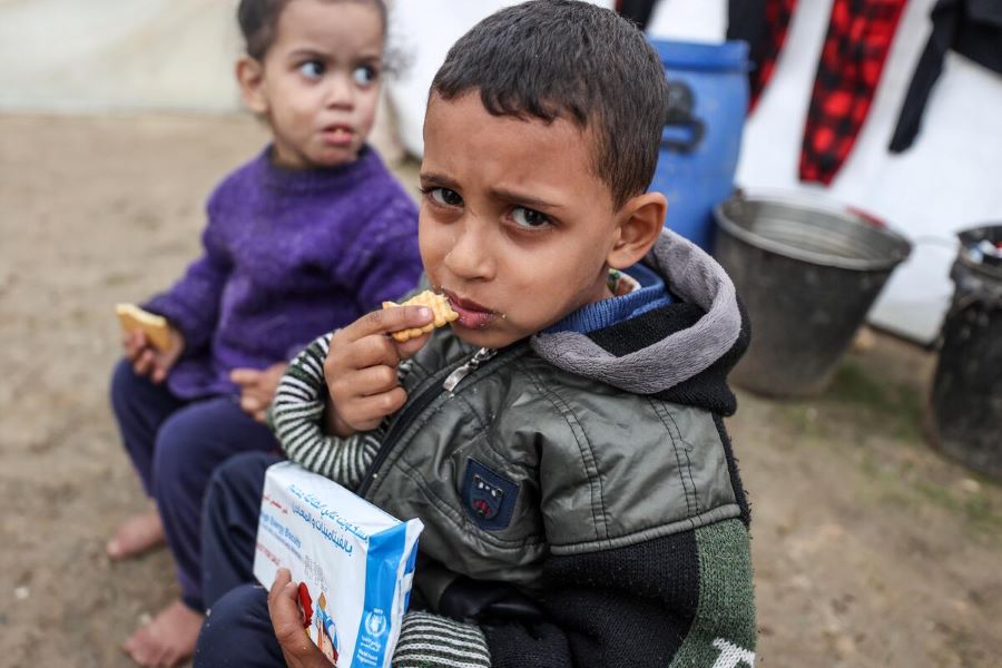 Neuer Bericht: In Nord-Gaza steht Hungersnot unmittelbar bevor | World Food Programme